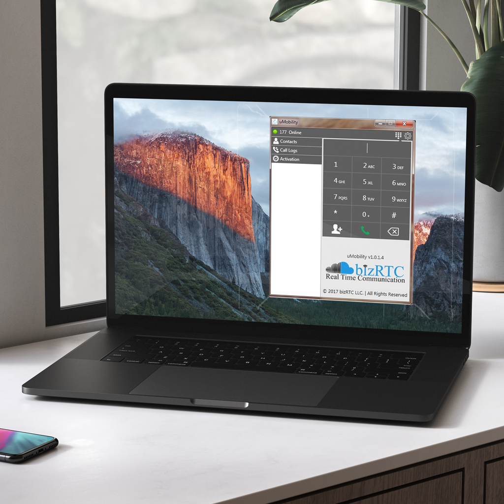 bizRTC License Server